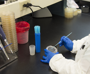 5 Ways to Accelerate the Microbial Quality Control Process