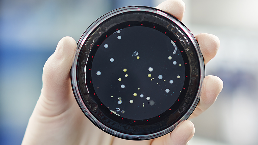 Growth Direct System - Consumables Technology