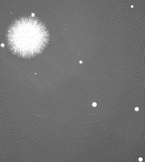 Glowing or Growing: Autofluorescence and the Growth Direct® System