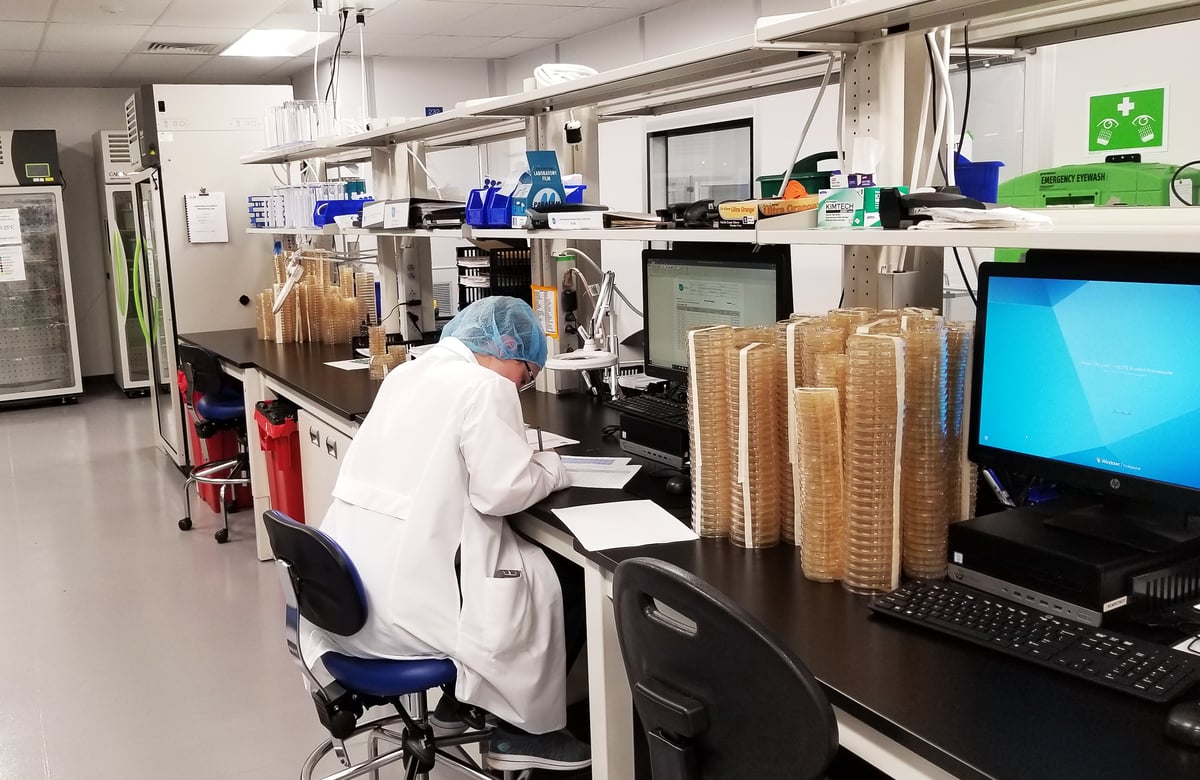 SCA Pharma Goes Live with Growth Direct™